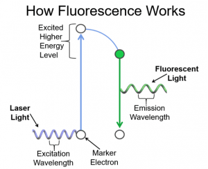 Morehouse Scientific Literacy Center